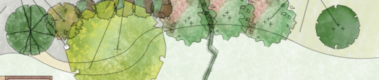 Chicago - Native Garden Designs