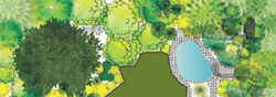 Native Garden Designs - Wild Ones