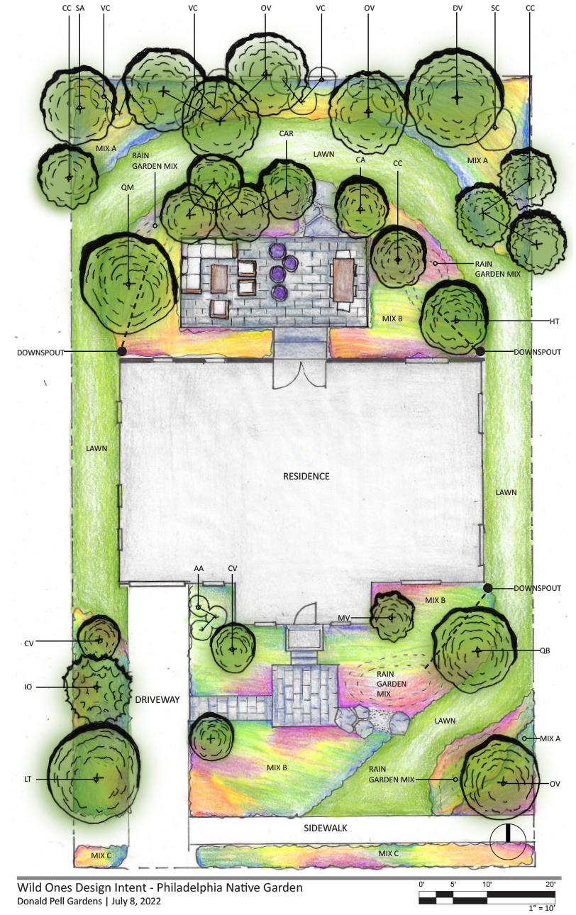 Philadelphia - Native Garden Designs