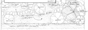 Portland, Maine - Native Garden Designs
