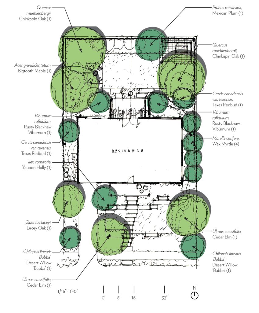 Dallas-Fort Worth - Native Garden Designs
